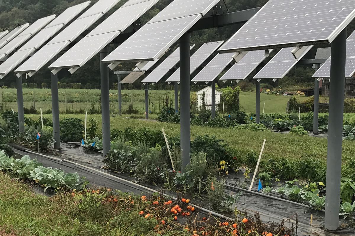Small Farms are Turning to Solar for Big Growth - Blue Door Media LLC